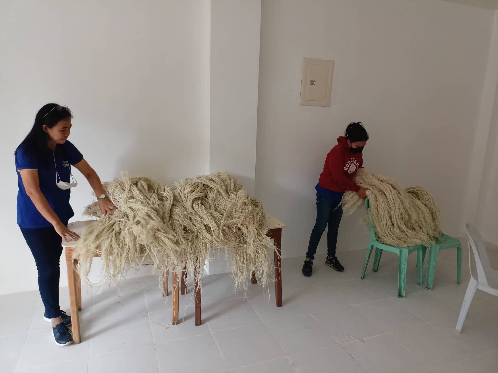 Pineapple Fiber Project has exceeded the Php 10M- mark gross sales in ...